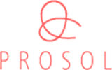 PROSOL採用サイト